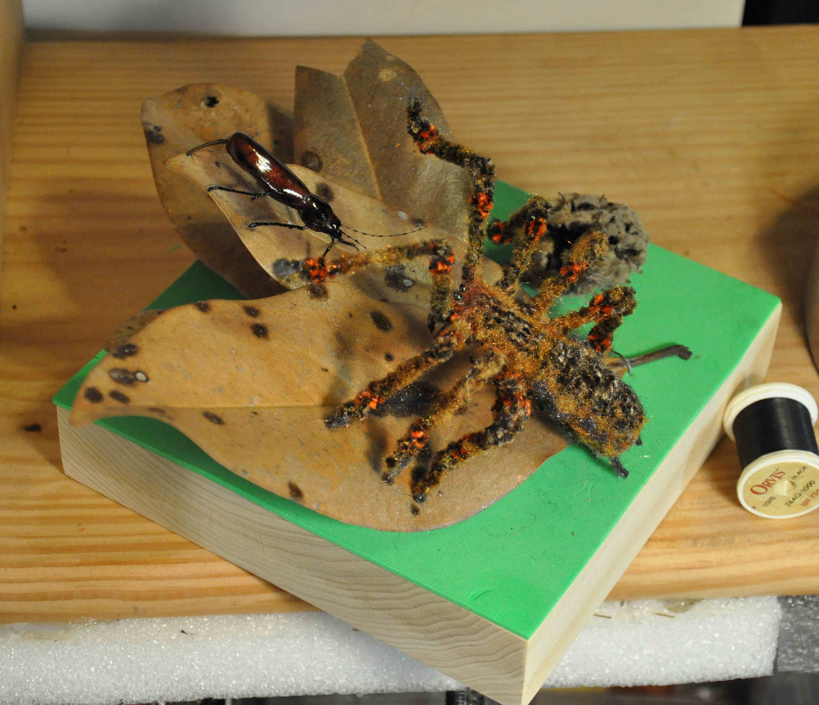 Tarantula (4" x 5") After a Large Wood Beetle