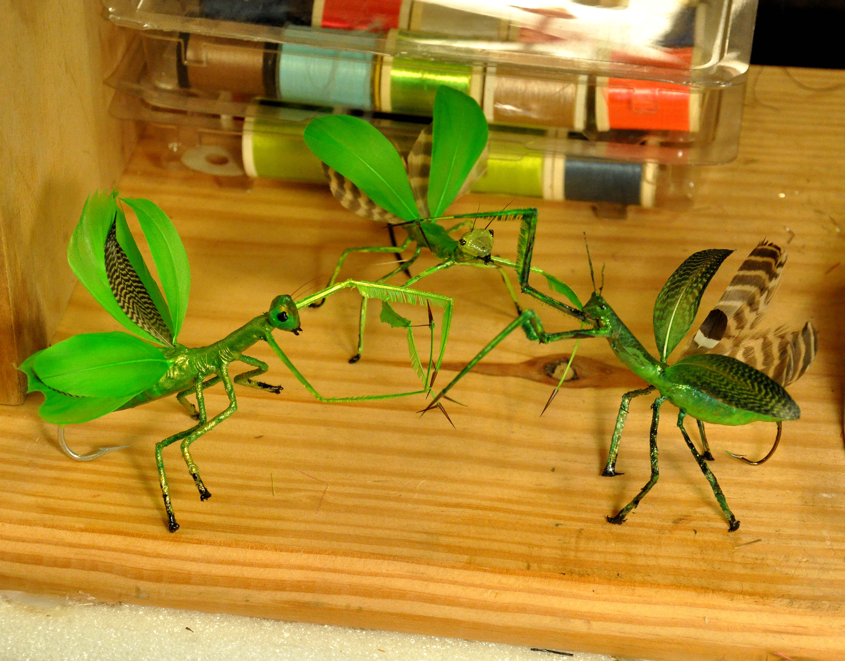 Four Inch Fighting Praying Mantis Flies